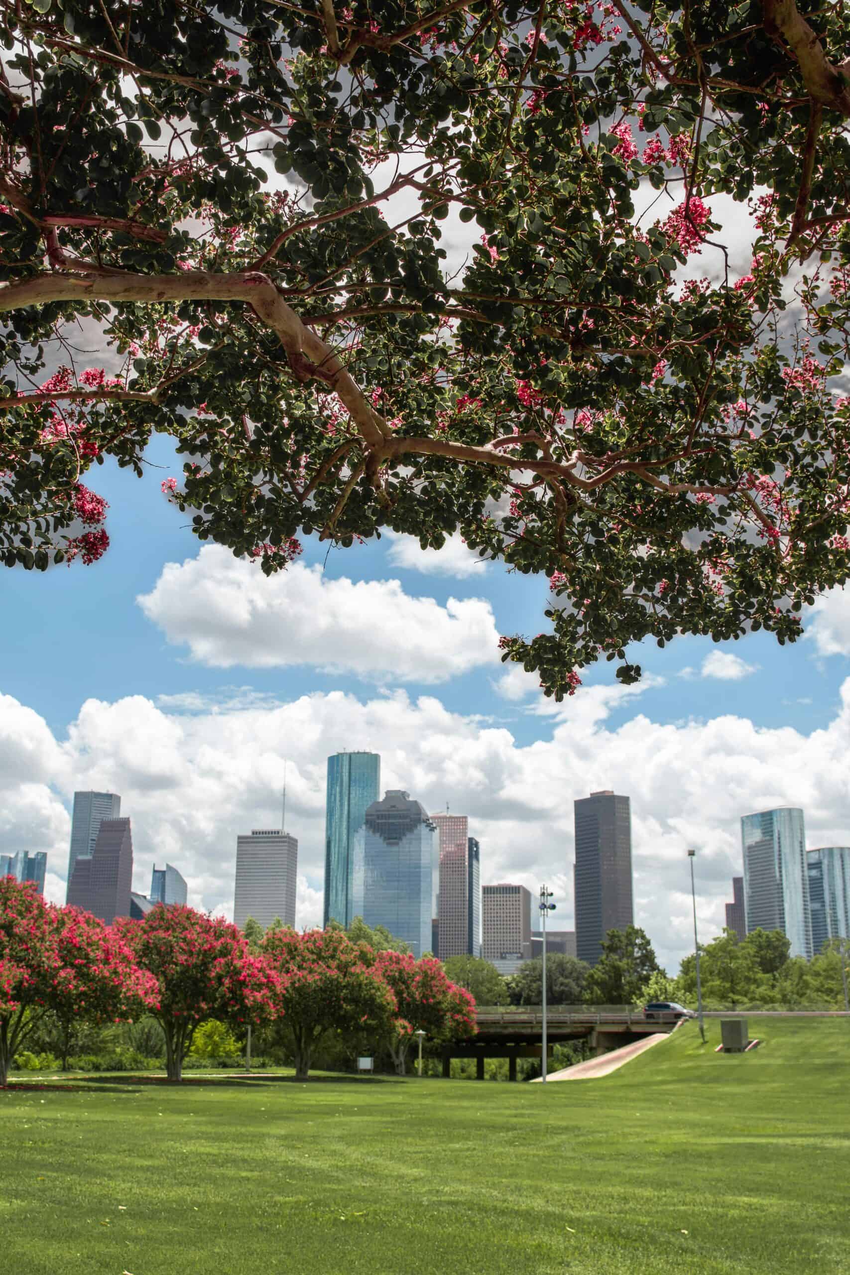 Top 5 Must-Visit Parks and Outdoor Spaces for Houston Residents - KRJ Cares